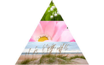 Scent Marketing and Odor Control Solutions | Hyscent